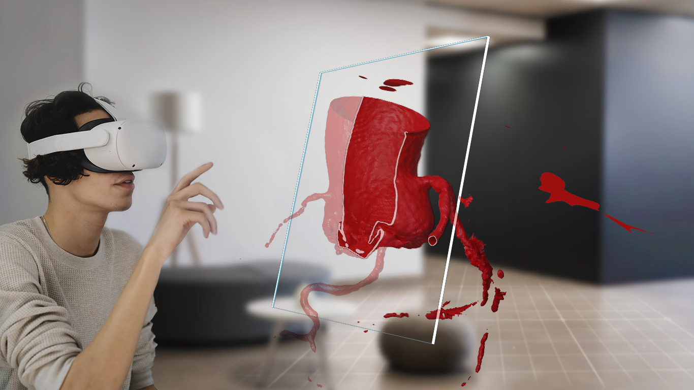 VR Coronary Artery Training | Human-Computer Interaction