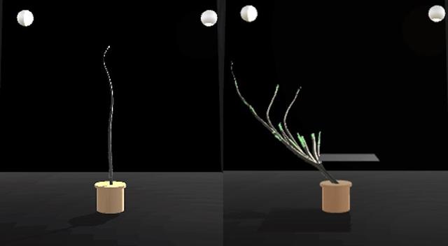 Biohybrid Realities - Interactive Plant Models | Human-Computer Interaction